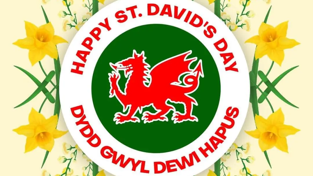 Happy St David's Day - Dydd Gŵyl Dewi Hapus! - Plymouth Liberal Democrats